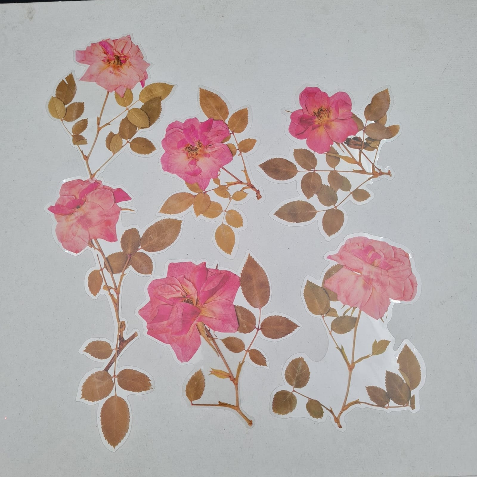Arteria. Transparent Insert Cutouts- Pink Flowers