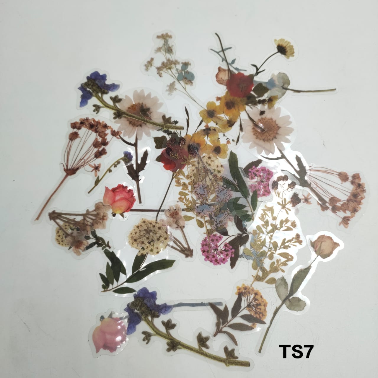 Arteria. Transparent Sticker Cutouts- Flowers